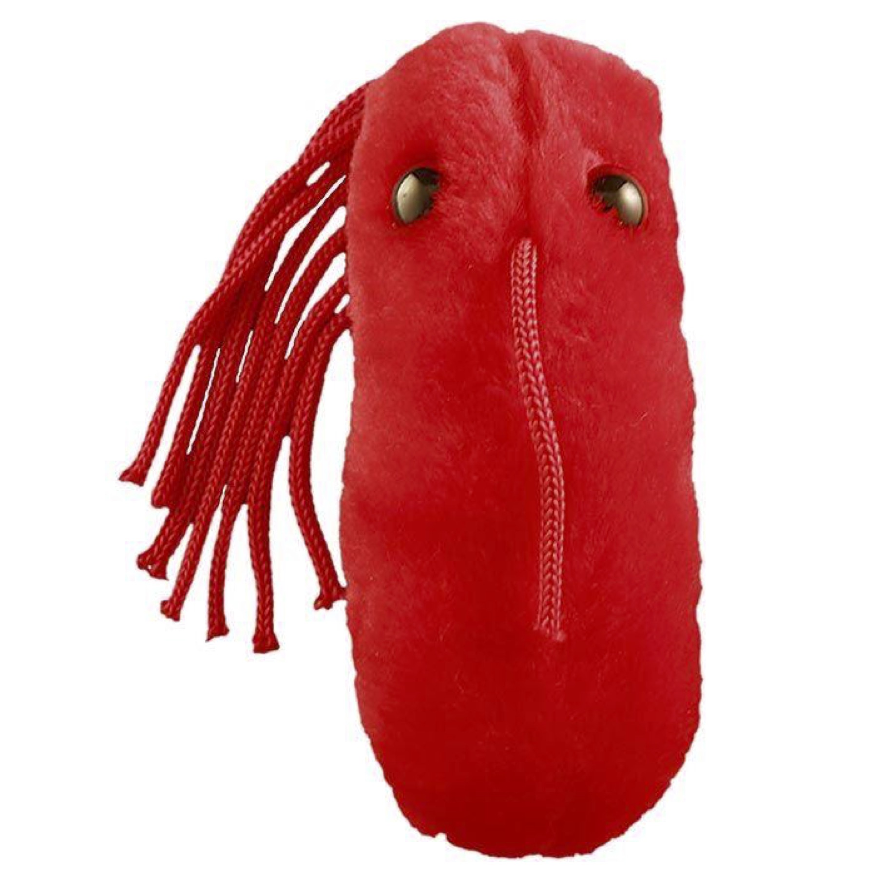 team | The CompMicroLab @ UmU